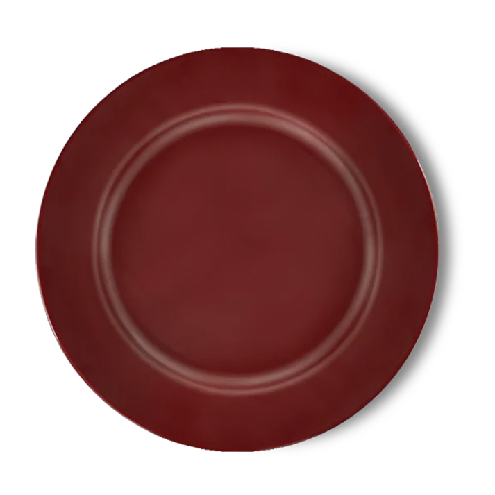 Maroon Melamine Rice Plate – Patex Studios